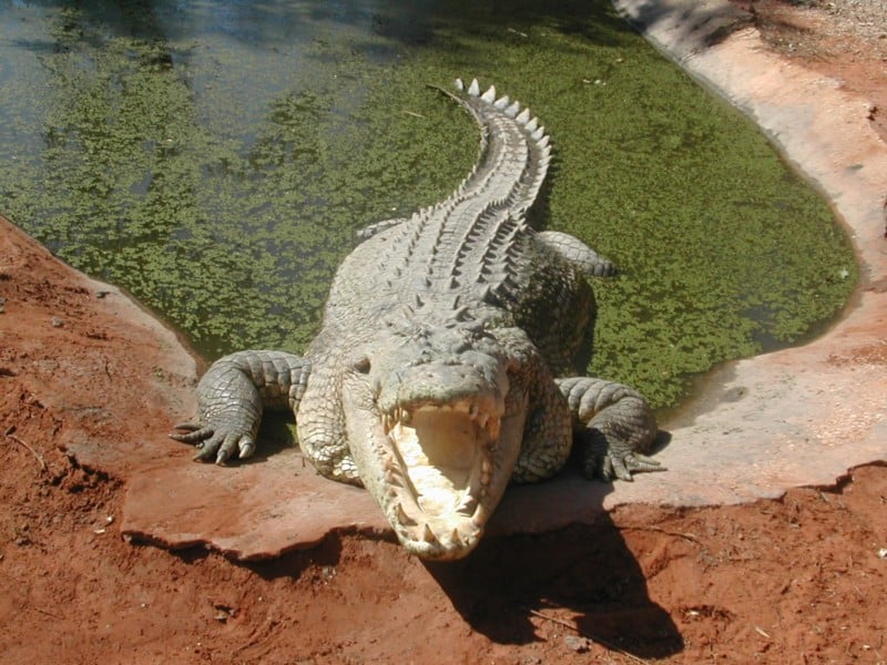 Broome; a tourist magnet in Northern WA