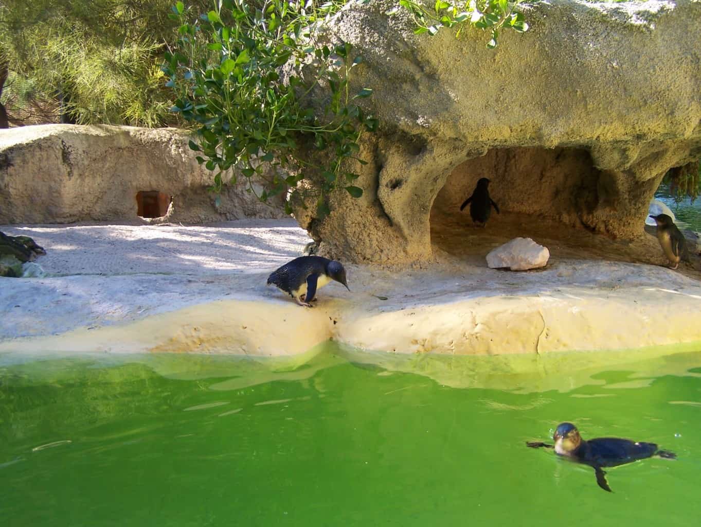 Perth Zoo; a great day out for everyone