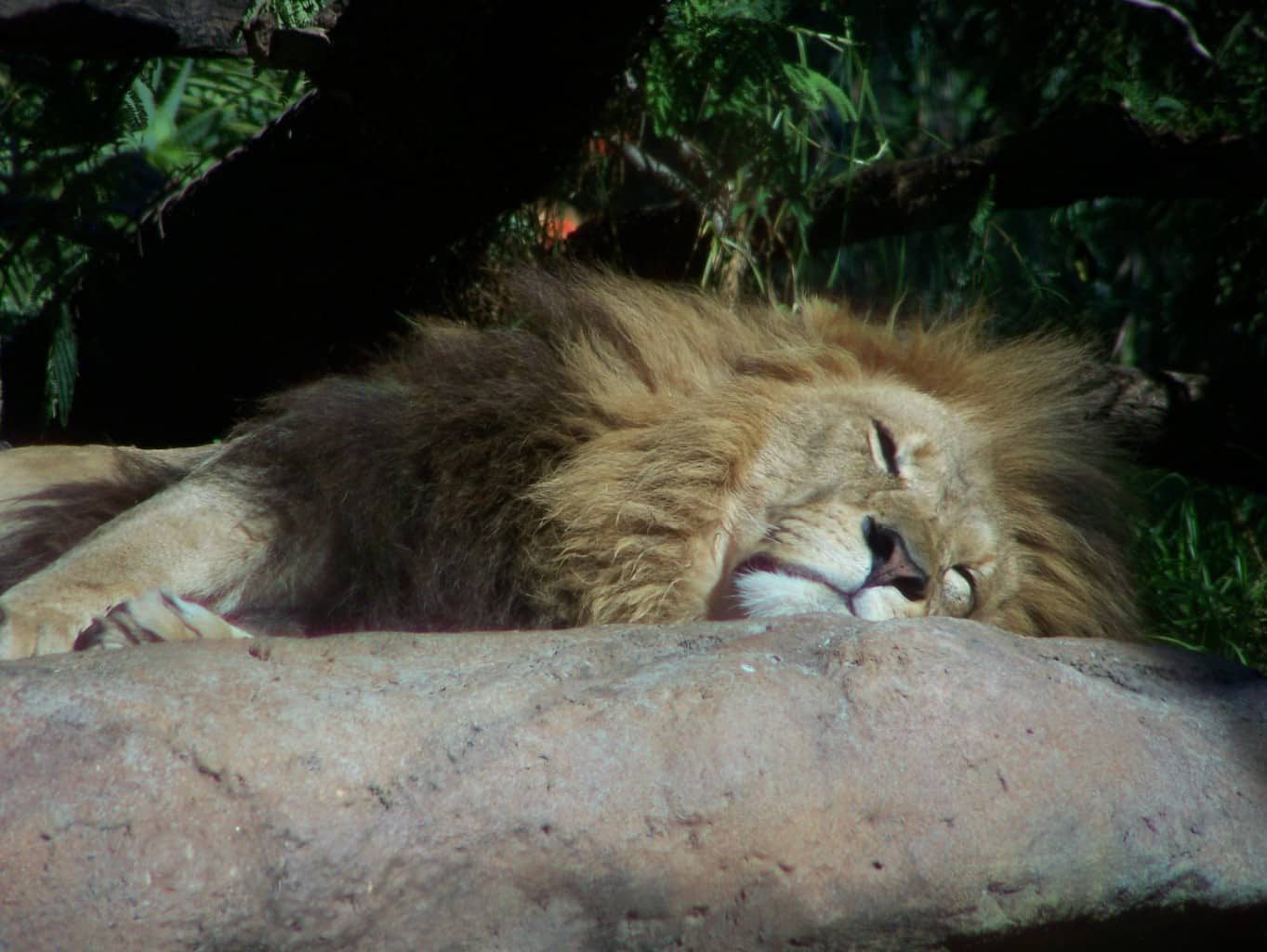 Perth Zoo; a great day out for everyone