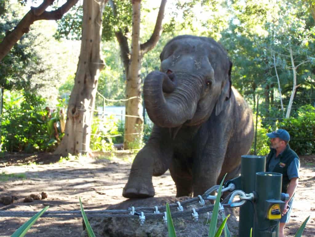 Perth Zoo; a great day out for everyone