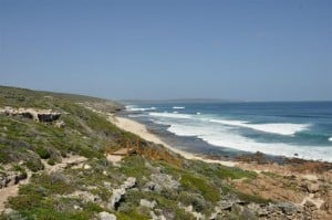 3 Bears Track; Epic coastline from Dunsborough to Yallingup