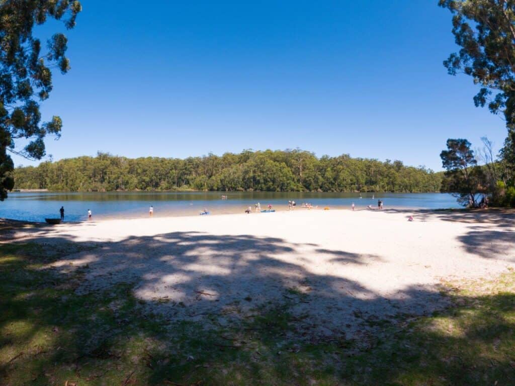 Pemberton; a hugely underrated part of WA