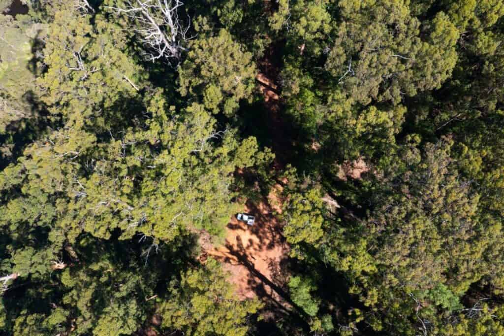 Pemberton Camping; Warren River