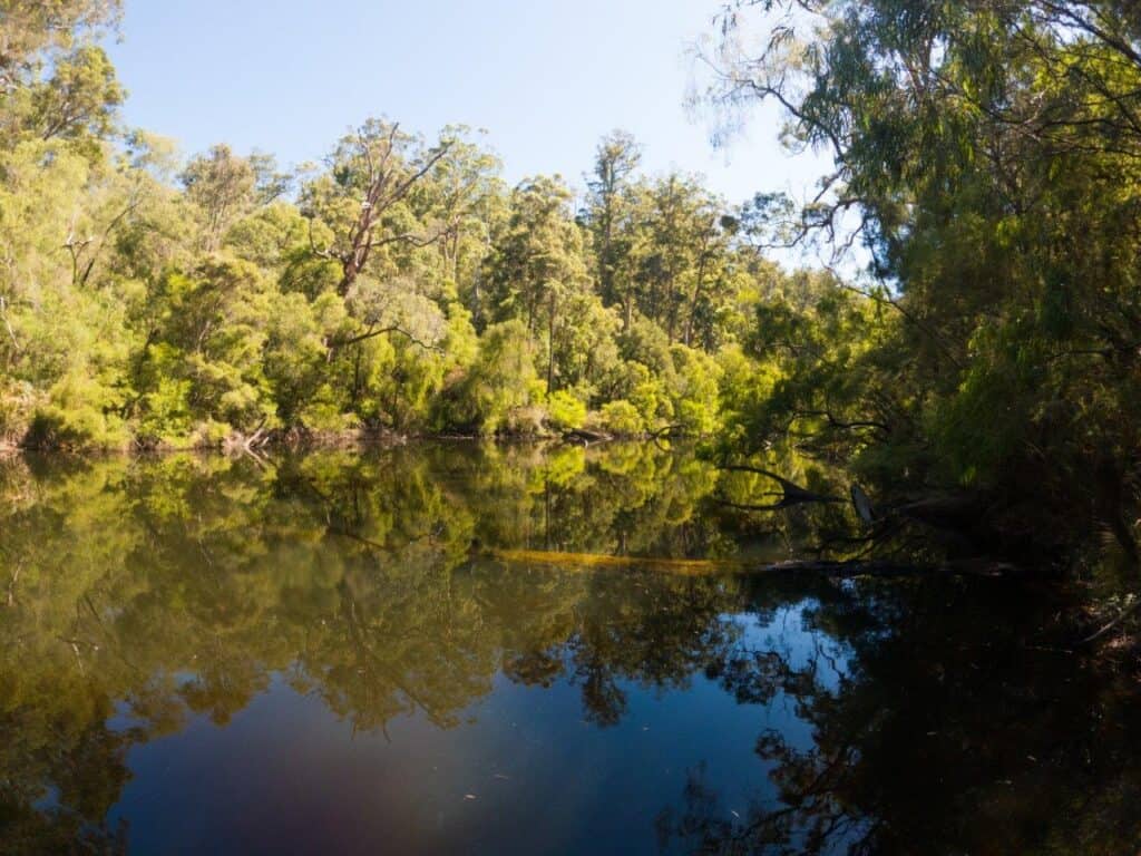 Pemberton; a hugely underrated part of WA