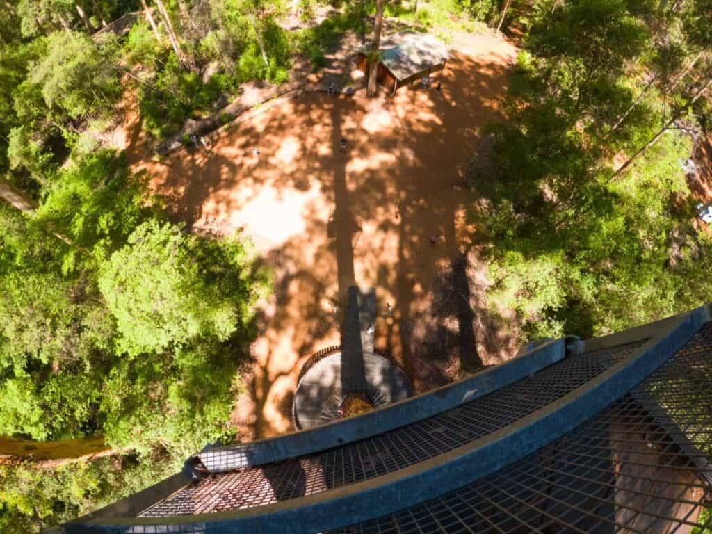 Pemberton; a hugely underrated part of WA