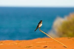 Where are your favourite 4WD destinations?