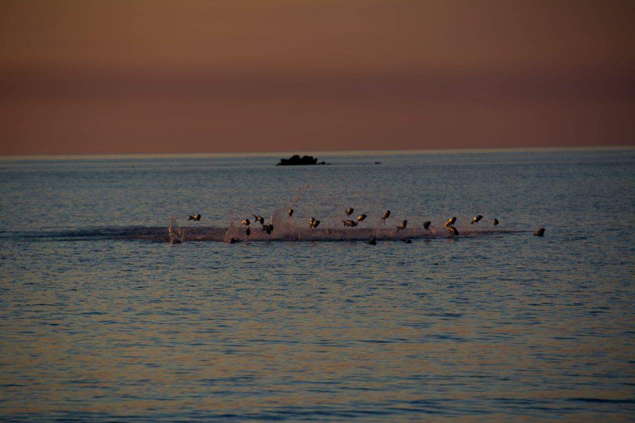 Middle Lagoon on Cape Leveque