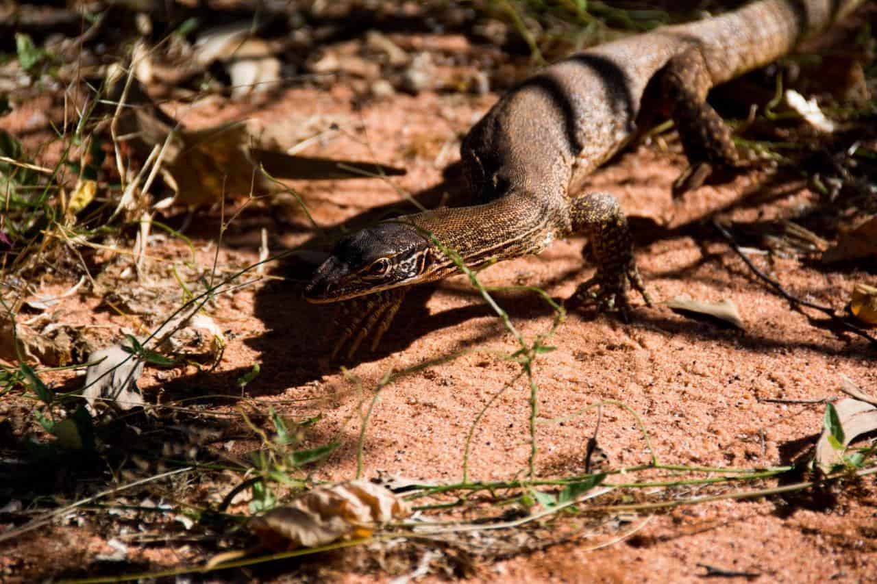 Middle Lagoon on Cape Leveque