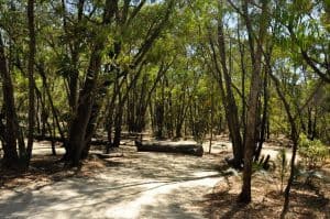 7 Fantastic Camp Sites near Perth