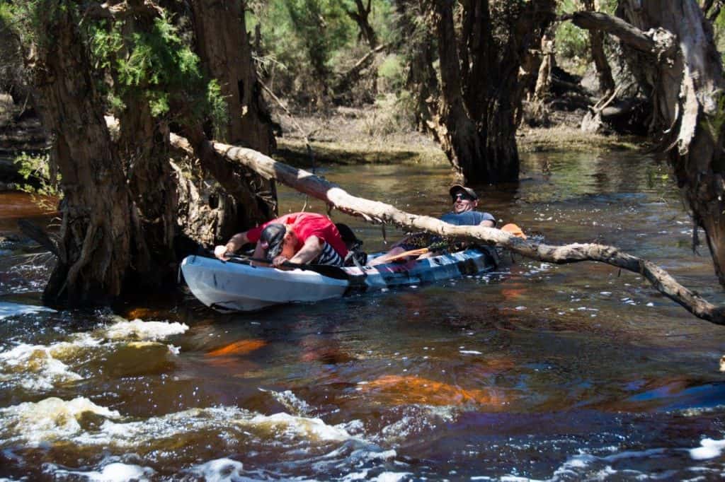 Upper Murray River Camping