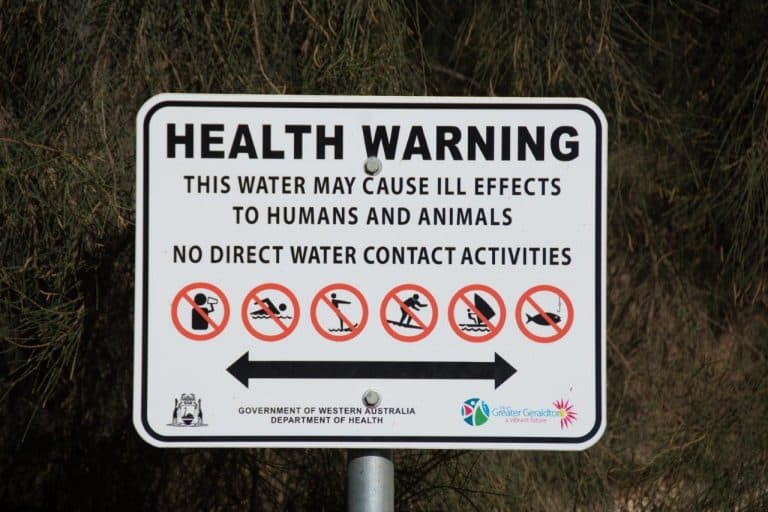 Ellendale Pool; Geraldton’s hidden oasis