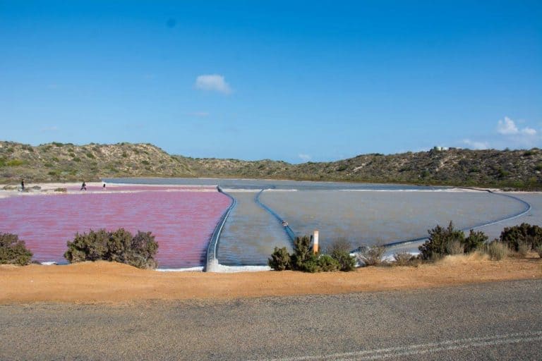 Lynton Station; the perfect mid north west destination