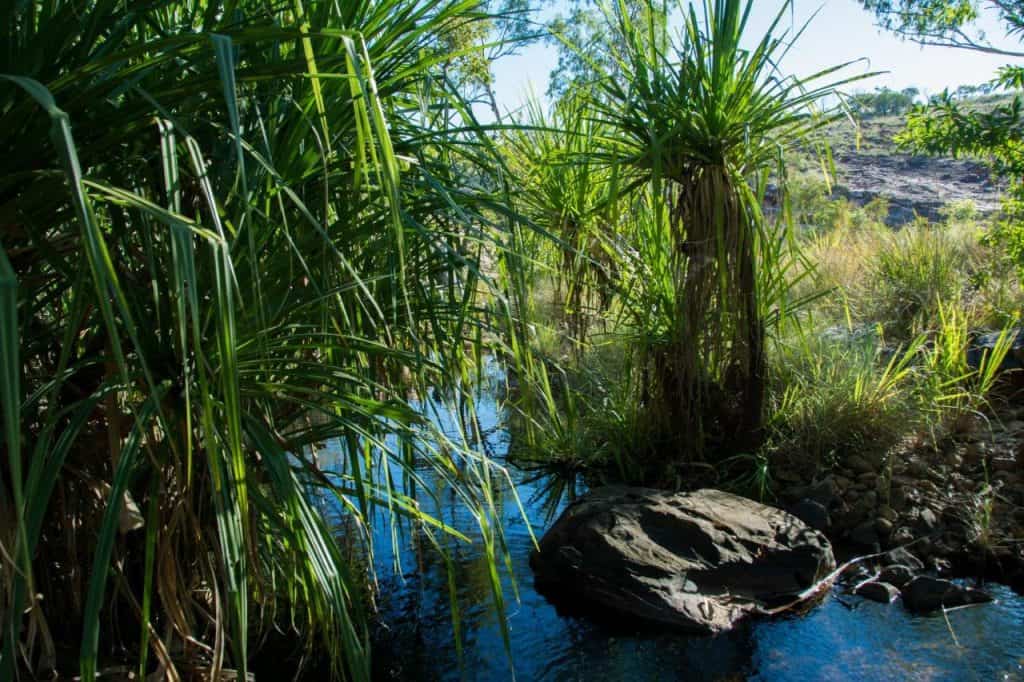Why should you visit Bell Gorge and Silent Grove?