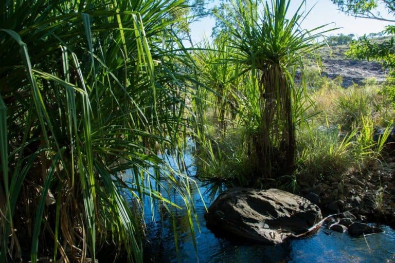 Why should you visit Bell Gorge and Silent Grove?