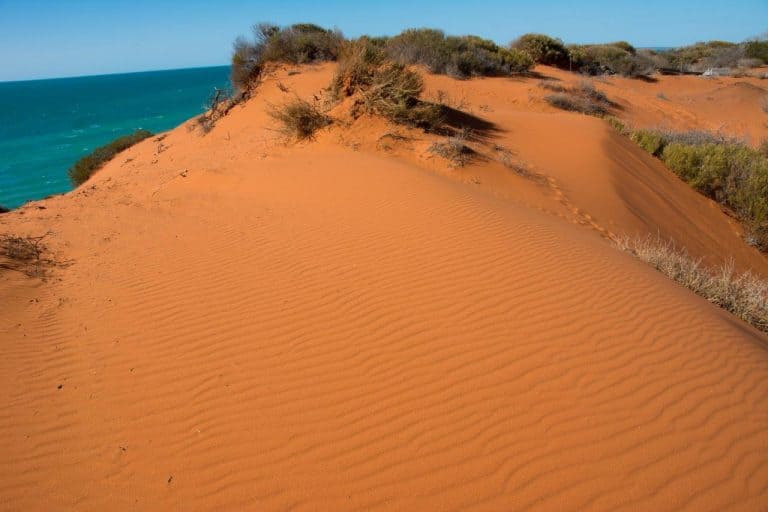 2 weeks at Steep Point and Denham