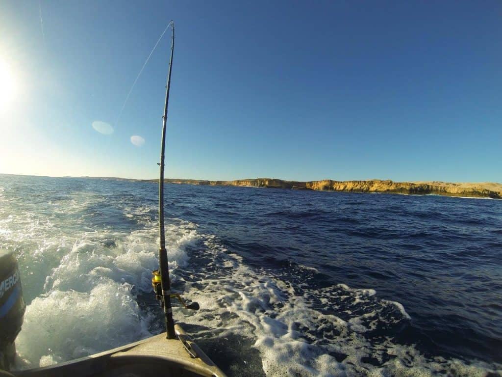 2 weeks at Steep Point and Denham