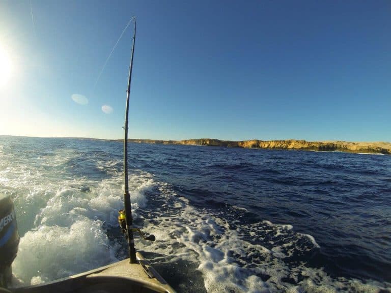 2 weeks at Steep Point and Denham