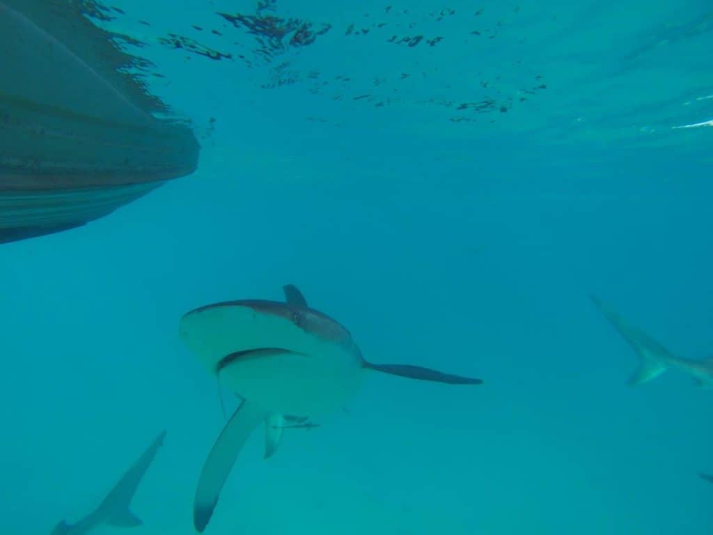 Steep Point; the ultimate adventure in WA