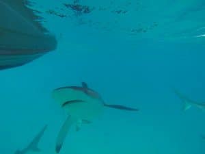 Steep Point; the ultimate adventure in WA