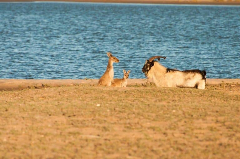 Murchison House Station in Kalbarri (its absolutely huge)