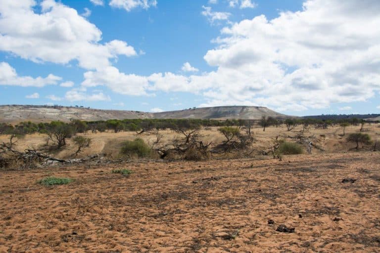 Murchison House Station in Kalbarri (its absolutely huge)