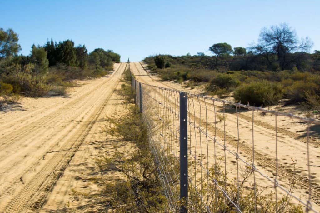 Murchison House Station in Kalbarri (its absolutely huge)