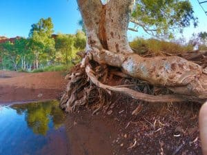 Kalgan Pool in the Pilbara; the best free camp we’ve stayed at
