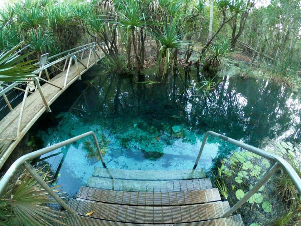 Mataranka; a bucket list place for hot springs