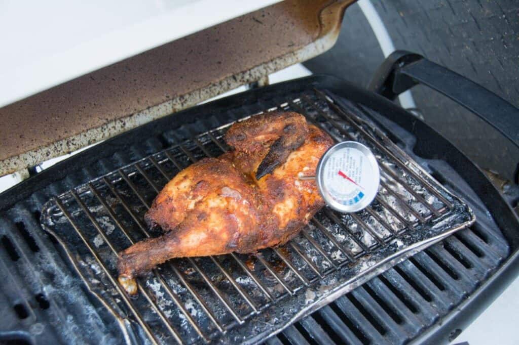 Weber Q; are they worth it for camping?