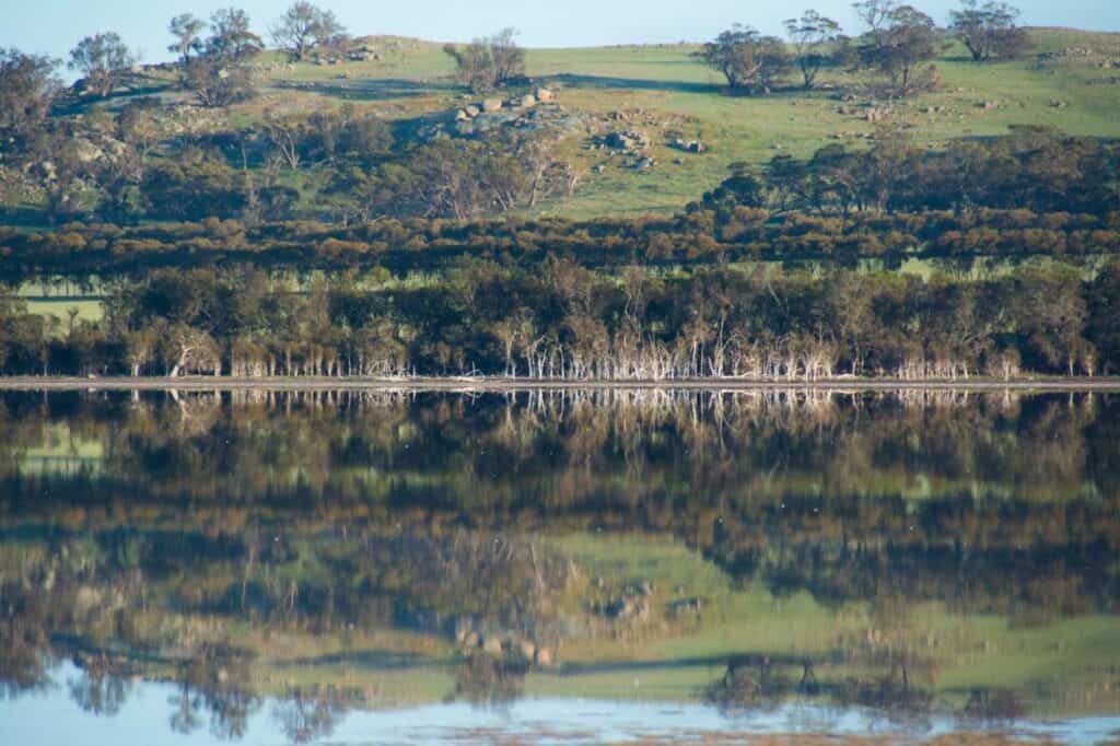 Queerearrup Lake; a magic free camp