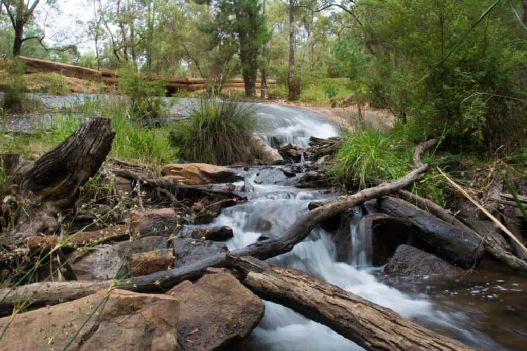 Lane Poole Reserve; the best adventure close to Perth