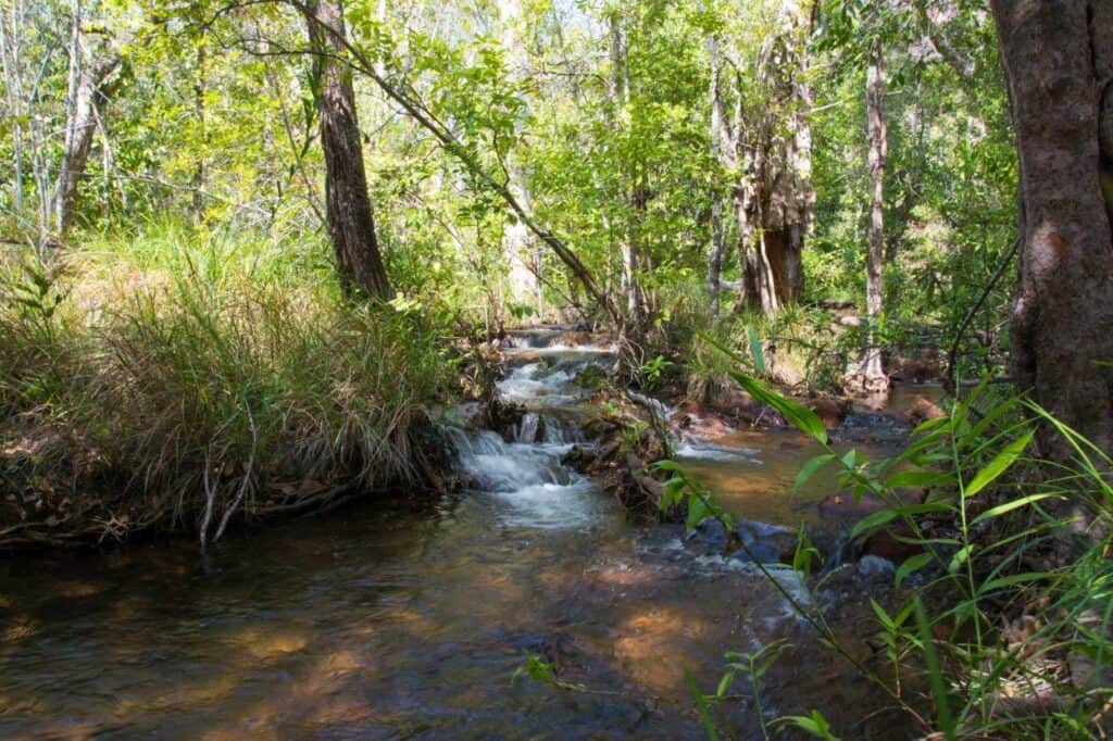 Robin Falls; an awesome surprise in the NT