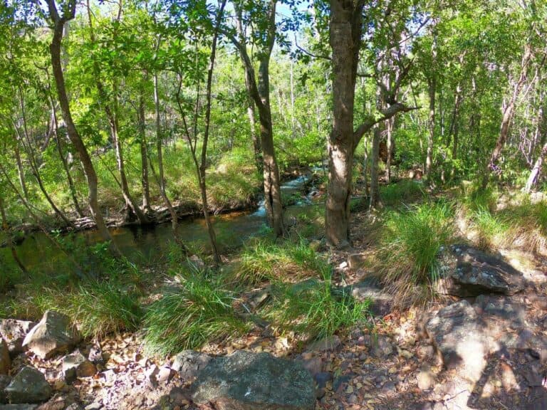 Robin Falls; an awesome surprise in the NT