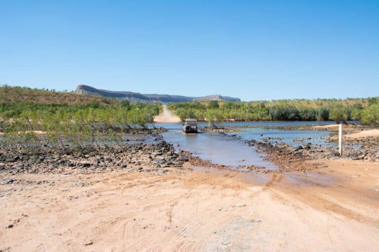 Ellenbrae Station on the Gibb River Road; stop for the scones!