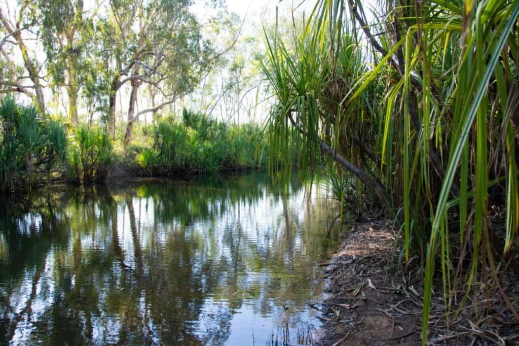 Ellenbrae Station on the Gibb River Road; stop for the scones!