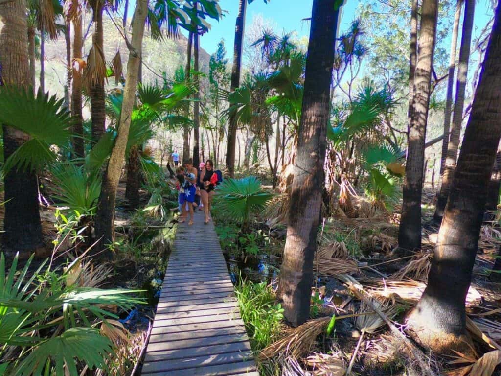 Zebedee Springs in El Questro; unbelievable hot springs
