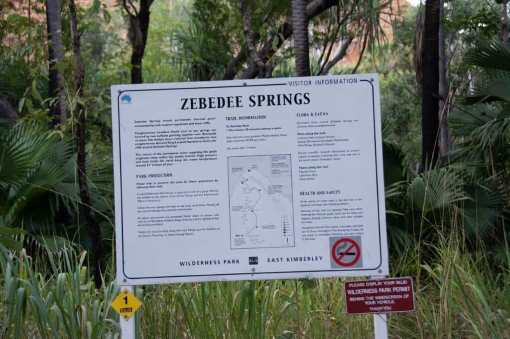Zebedee Springs in El Questro; unbelievable hot springs