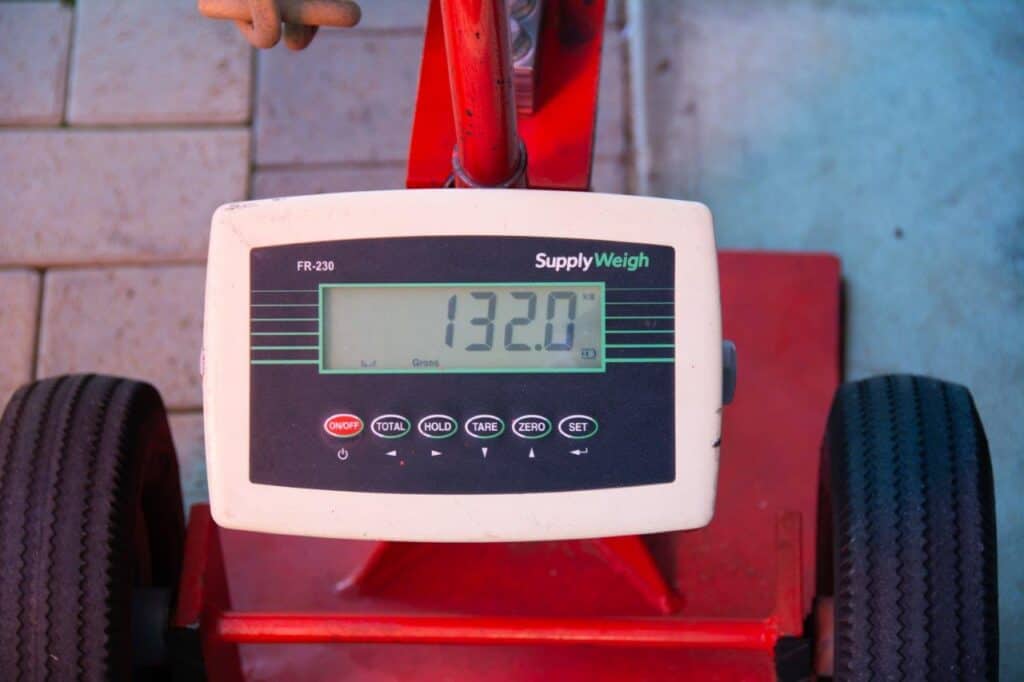 GVM Meaning; weights explained and made simple