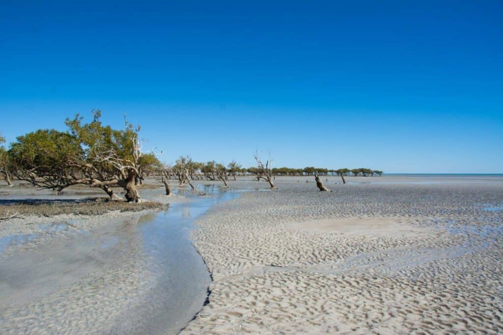 Crossing tidal flats in a 4WD; what do you need to know?