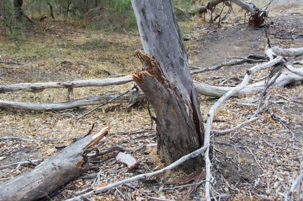 Moore River Ranch; great camping 1.5 hours from Perth