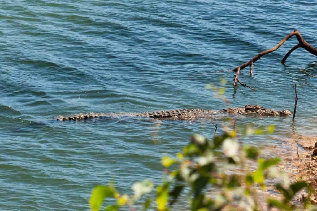 Port Smith Lagoon and Caravan Park; a unique stay near Broome