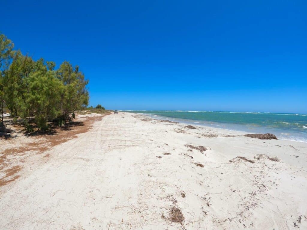 Little Bay Horrocks; a perfect, low cost beach camp