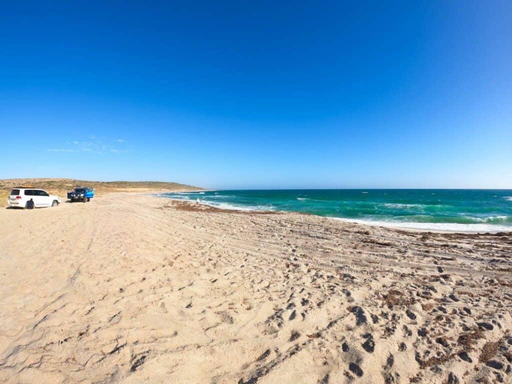 Horrocks; Australia's best beach?