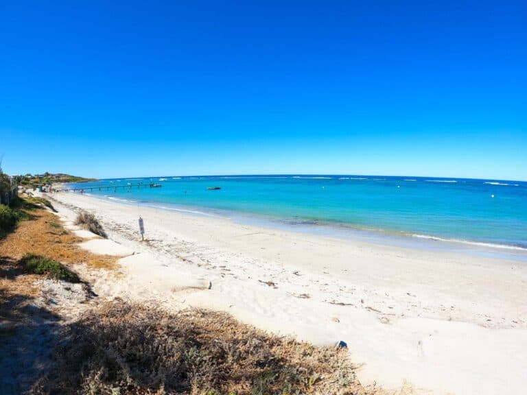Horrocks; Australia's best beach?