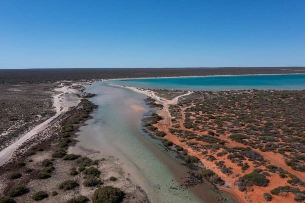 14 amazing things to do in Shark Bay