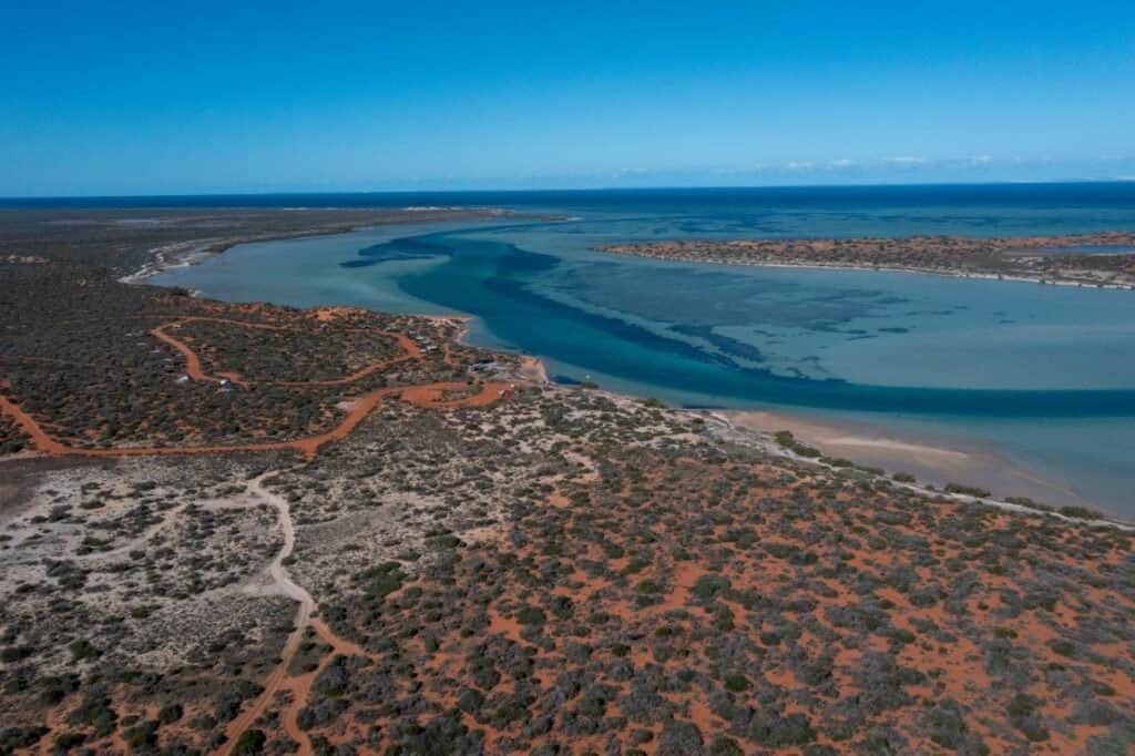 14 amazing things to do in Shark Bay