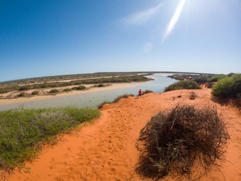 Little Lagoon, Denham; absolute paradise minutes from town