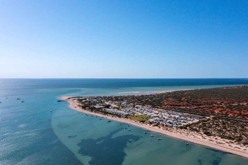 14 amazing things to do in Shark Bay
