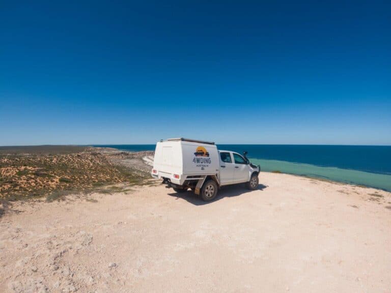 14 amazing things to do in Shark Bay