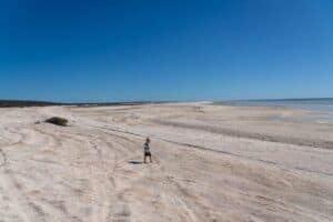 Shell Beach in Shark Bay; a beach with no sand